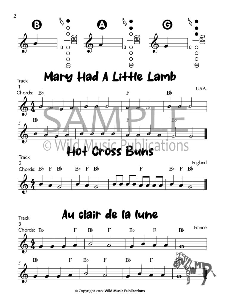 150+ Easy Tunes for Alto Saxophone – Tracks – Wild Music Publications